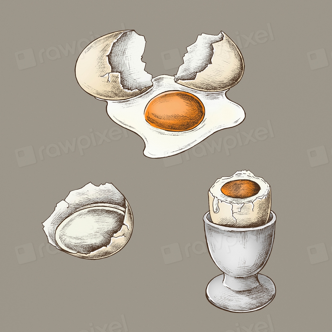 Cracked eggshell and boiled egg | Premium PSD - rawpixel