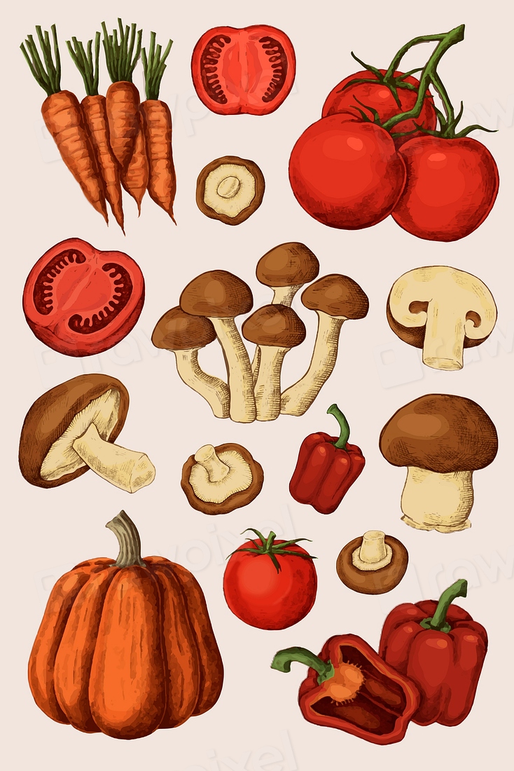 Fresh organic vegetable collection vector | Premium Vector Illustration ...