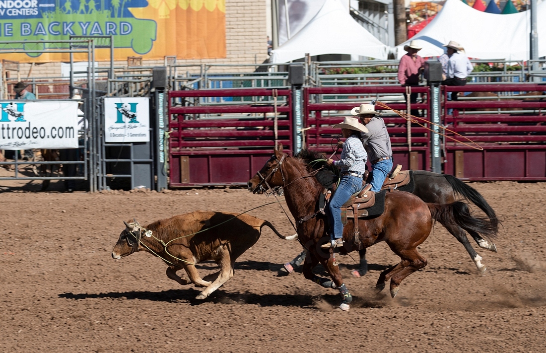 Calf-roping event All-Indian Rodeo, featured | Free Photo - rawpixel
