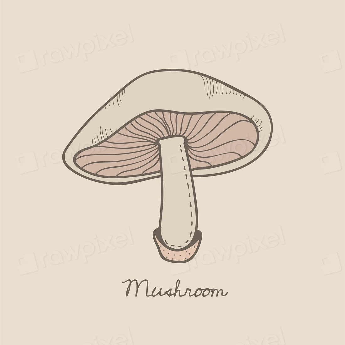 Vector of a mushroom | Premium Vector Illustration - rawpixel
