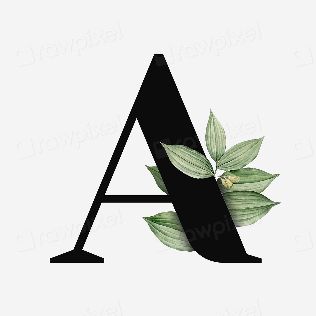 Botanical capital letter font design | Premium Photo - rawpixel Botanical capital letter font design | Premium Photo - rawpixel