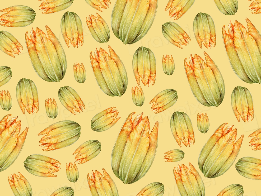 Hand drawn squash blossom patterned | Free Photo - rawpixel