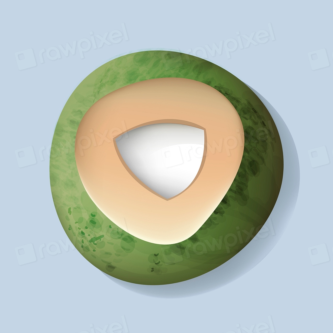 Fresh Cut Open Coconut Vector | Premium Vector - rawpixel