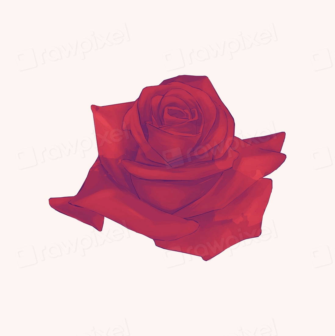Illustration drawing red rose flower | Premium Vector Illustration ...