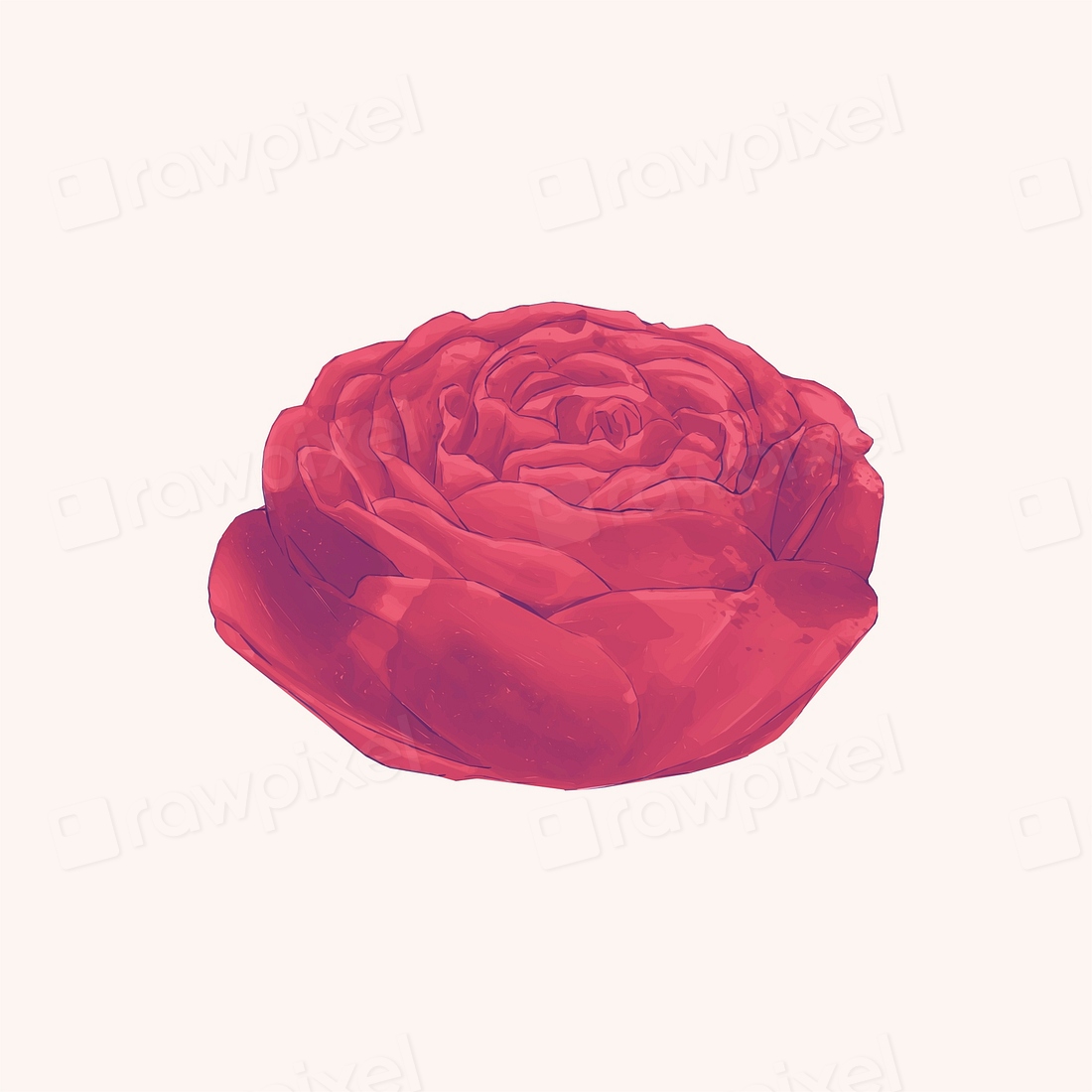Illustration drawing red rose flower | Premium Vector Illustration ...