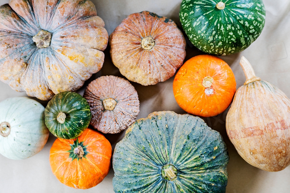 Aerial view diverse fresh pumpkins | Premium Photo - rawpixel