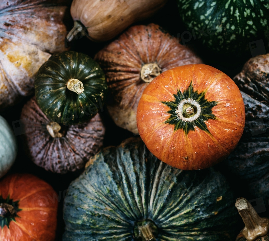 Aerial view diverse fresh pumpkins | Premium Photo - rawpixel