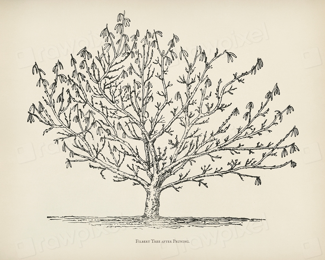 fruit grower's guide : Vintage | Premium PSD Illustration - rawpixel