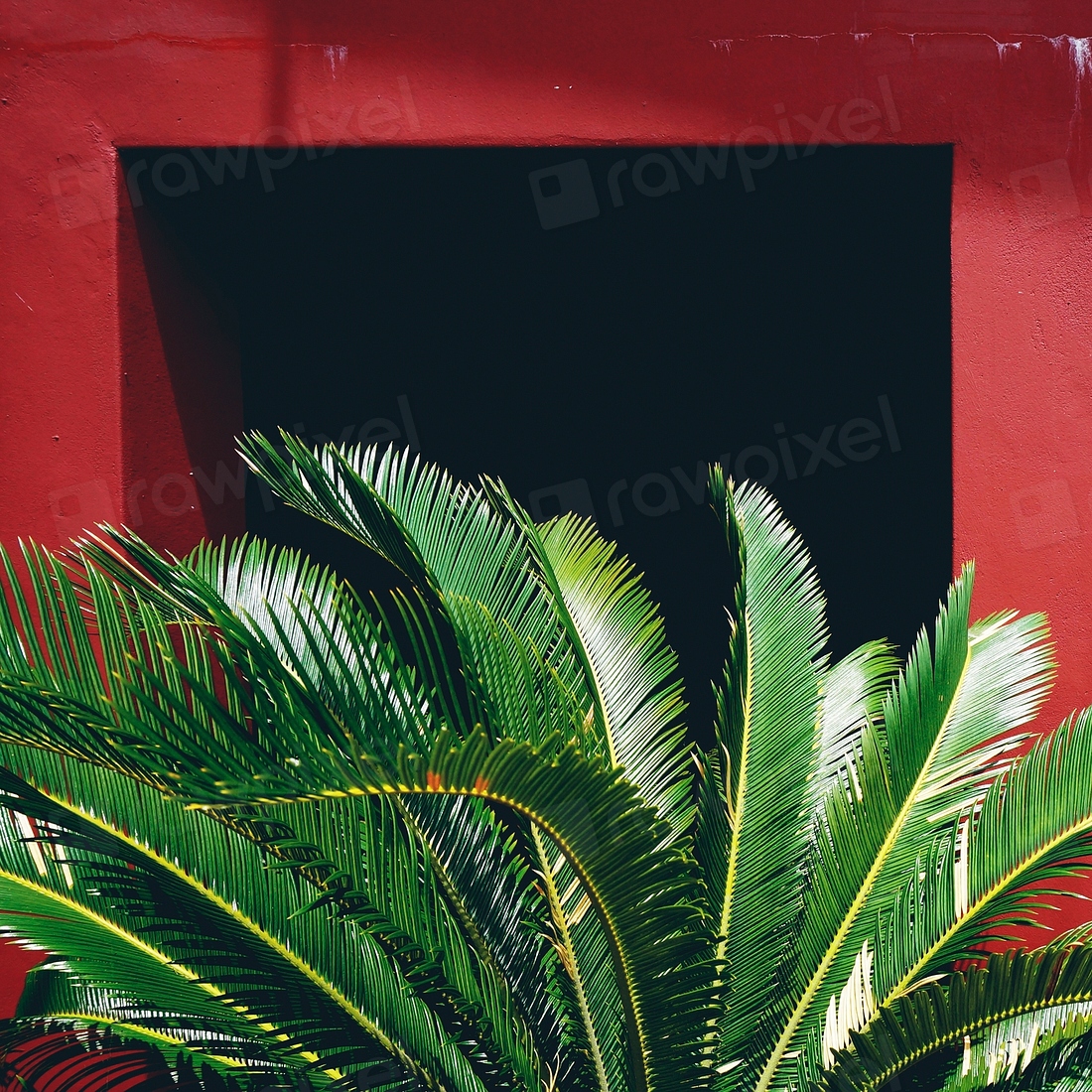 Beautiful greenery and red wall | Premium Photo - rawpixel