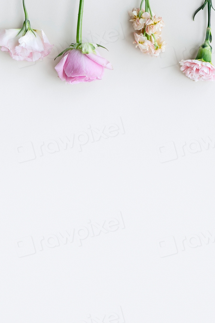 Blooming colorful flowers background design | Premium Photo - rawpixel