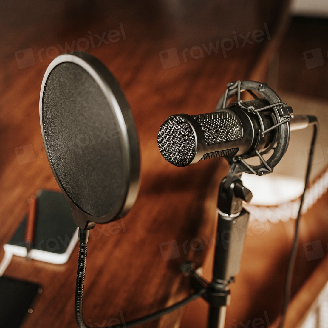 Professional condenser microphone pop filter | Premium Photo - rawpixel