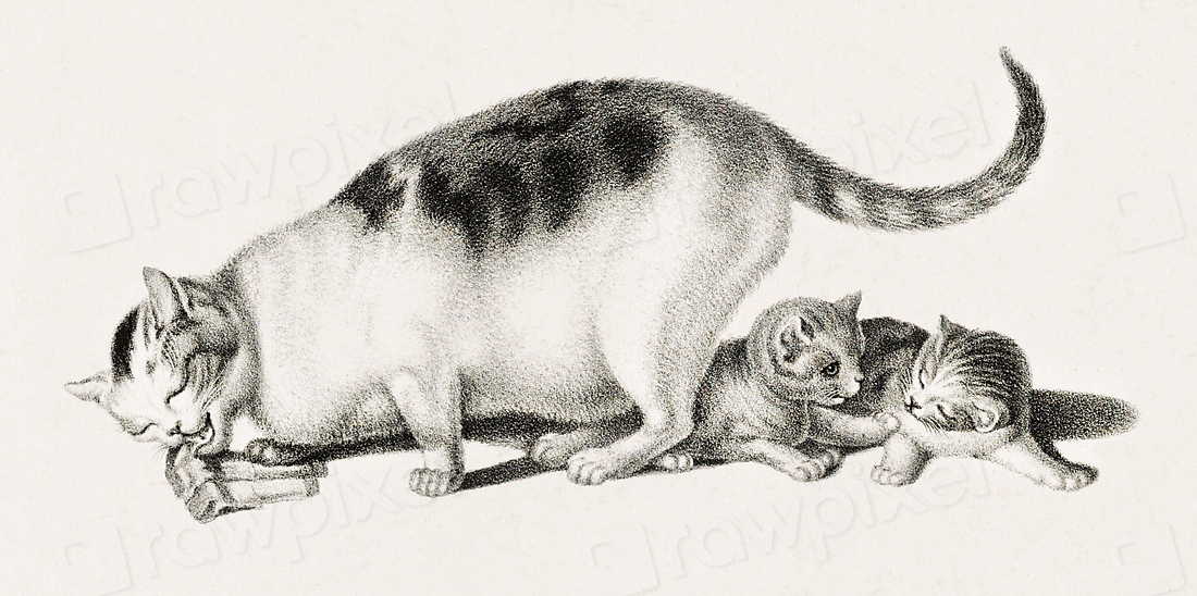 Illustration domestic cat eating kittens | Free Photo Illustration ...
