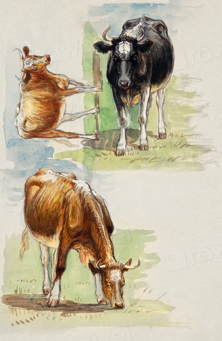 Cattle, Steers (1875–80) Samuel Colman | Free Photo Illustration - rawpixel