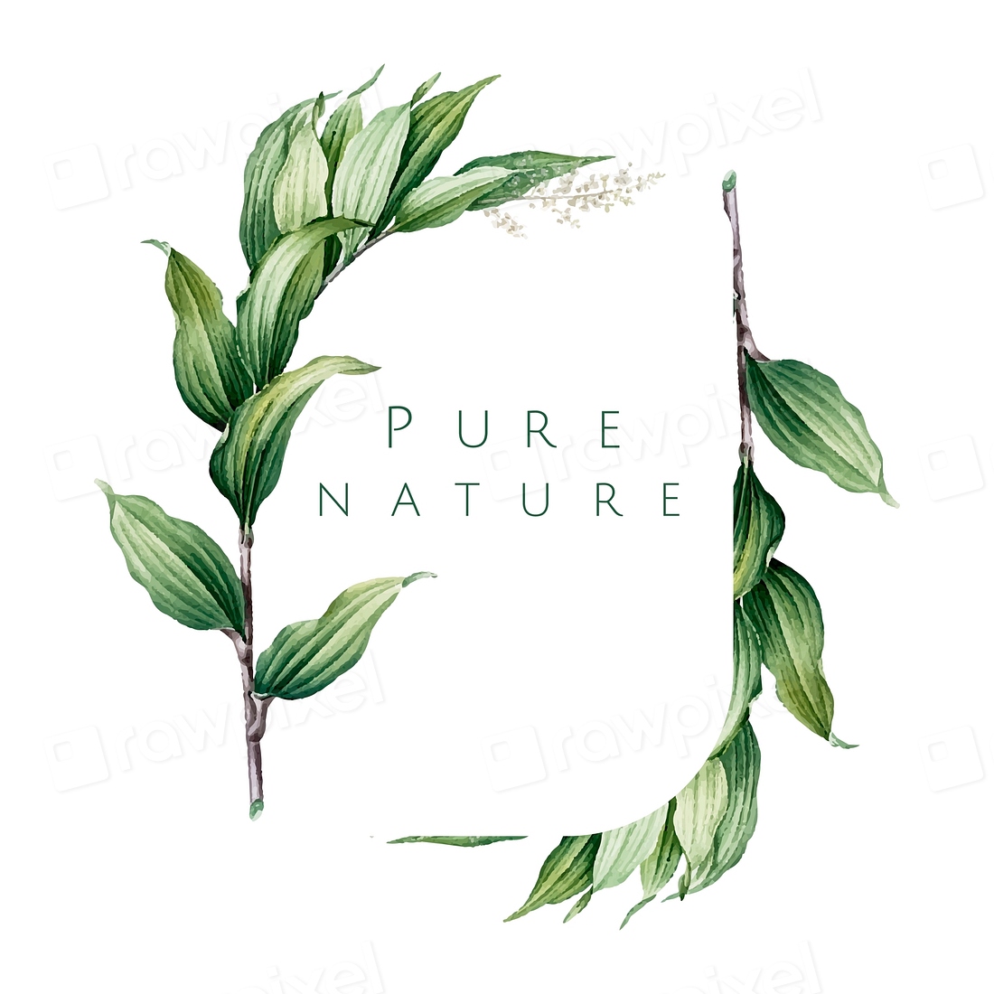 Pure nature logo design vector | Premium Vector - rawpixel