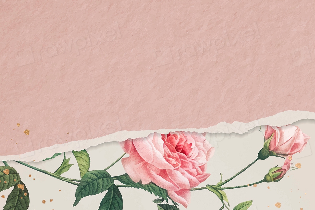 Pink rose frame design vector | Premium Vector - rawpixel