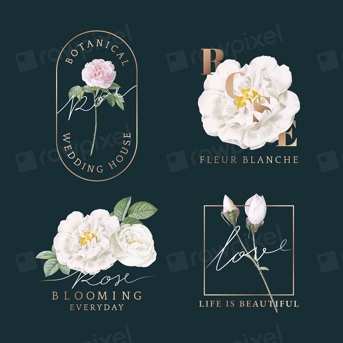 Florist branding logo collection vector | Premium Vector - rawpixel