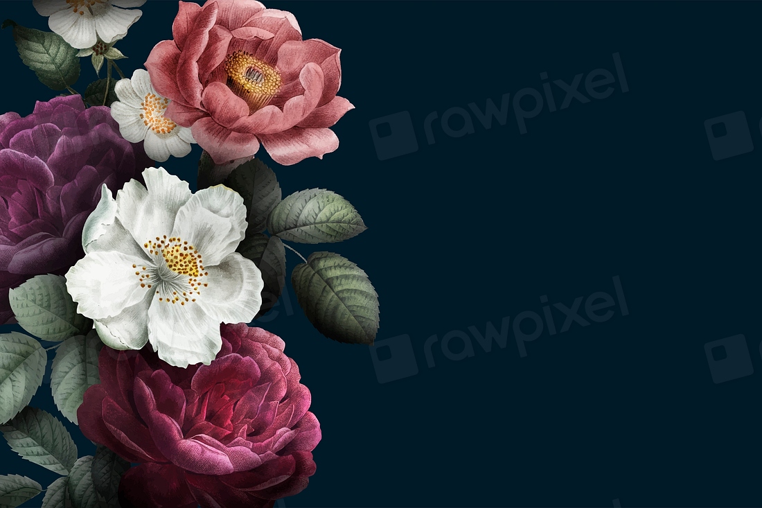 Beautiful hand drawn rose themed | Premium Vector - rawpixel