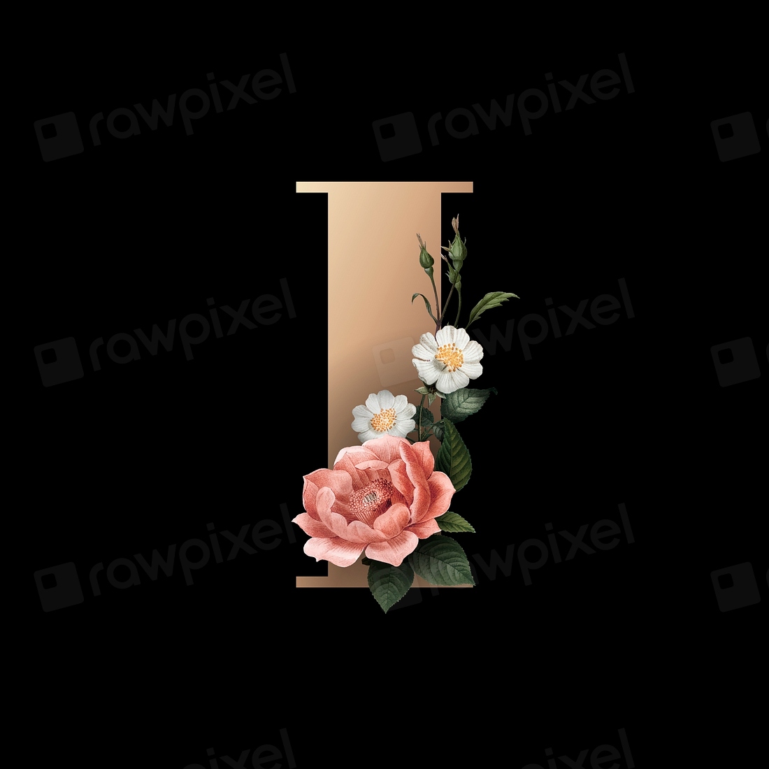 Classic and elegant floral alphabet | Premium Vector - rawpixel