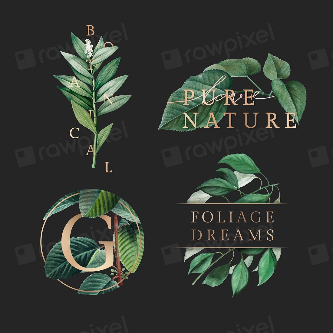 Tropical botanic logo collection vector | Premium Vector - rawpixel