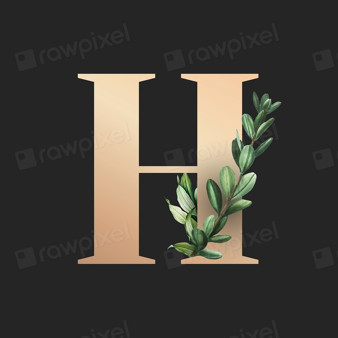 Botanical capital letter H vector | Premium Vector - rawpixel
