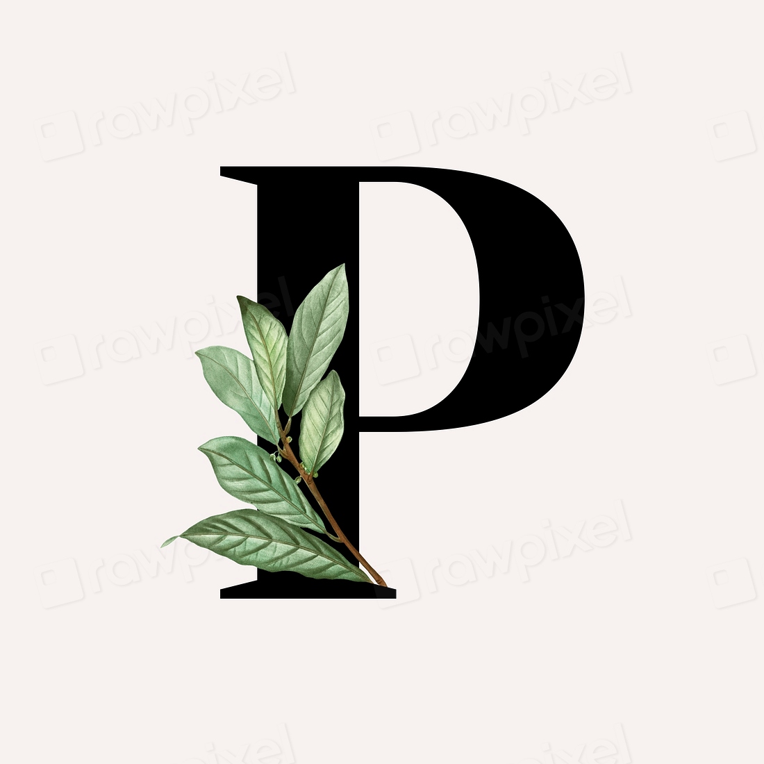 Botanical capital letter P illustration | Premium PSD - rawpixel
