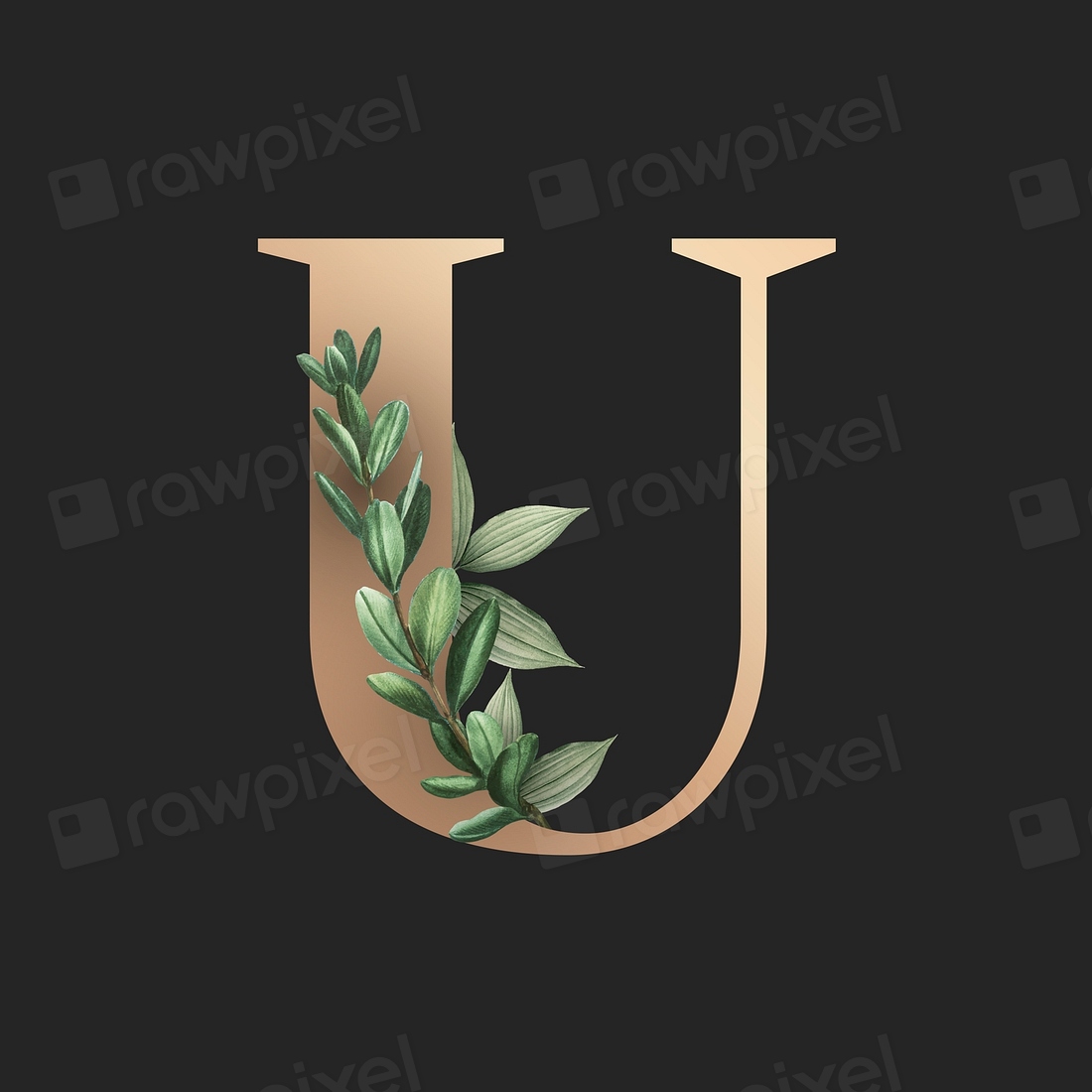 Botanical capital letter U vector | Premium Vector - rawpixel