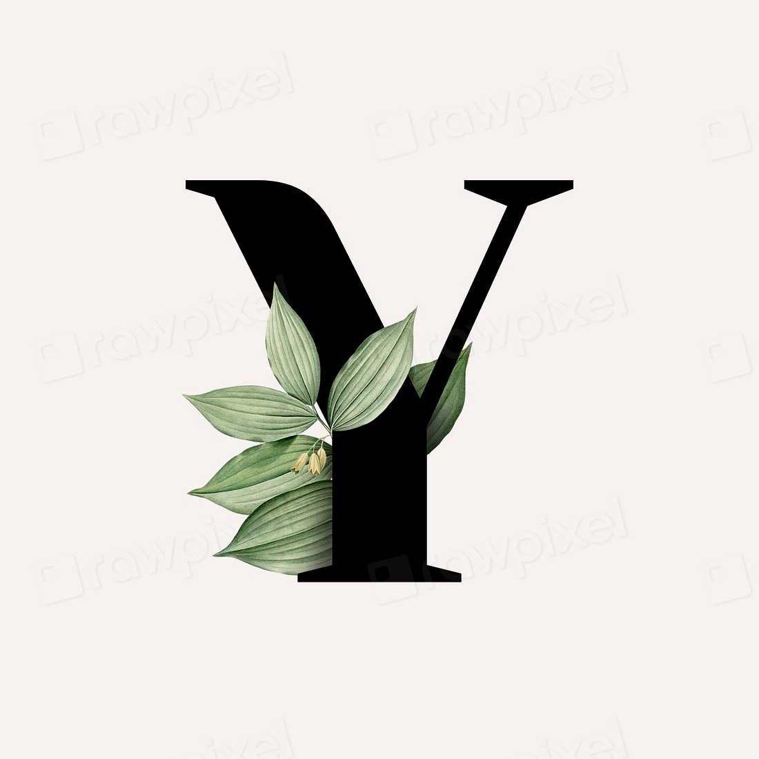 Botanical capital letter Y illustration | Premium PSD - rawpixel