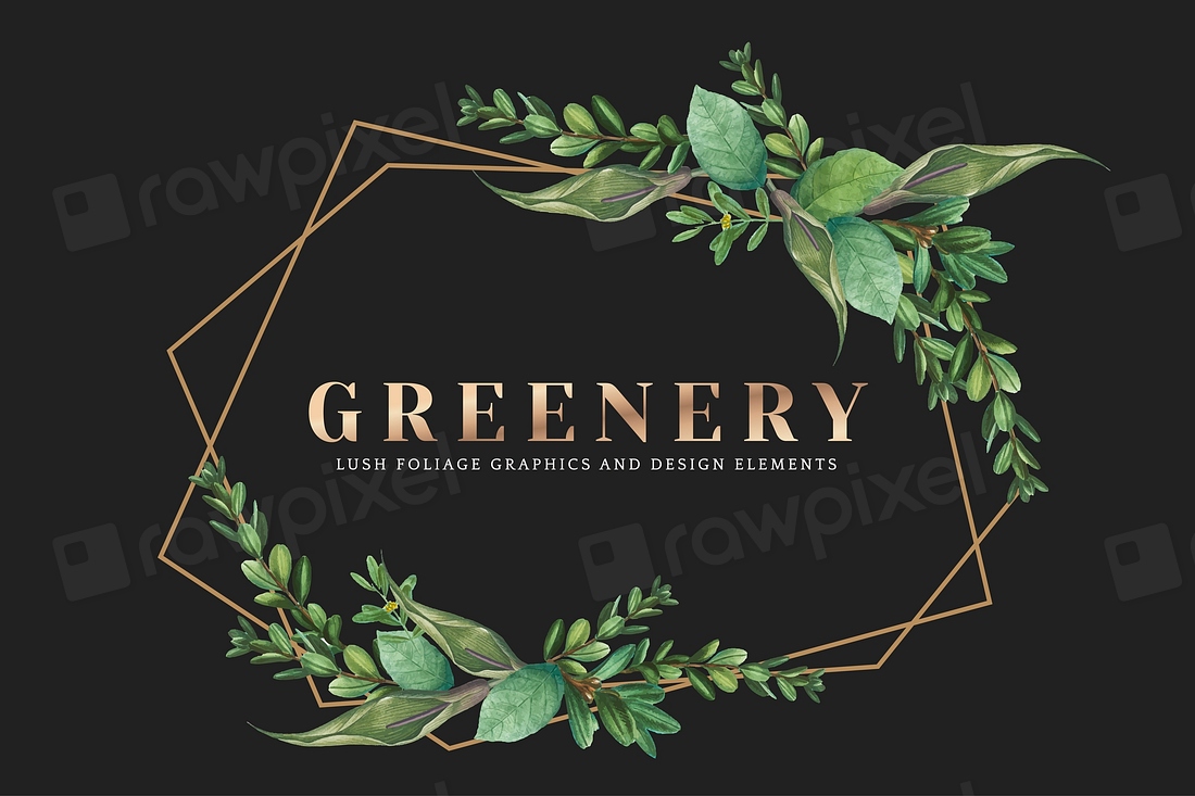 Tropical greenery frame design vector | Premium Vector - rawpixel