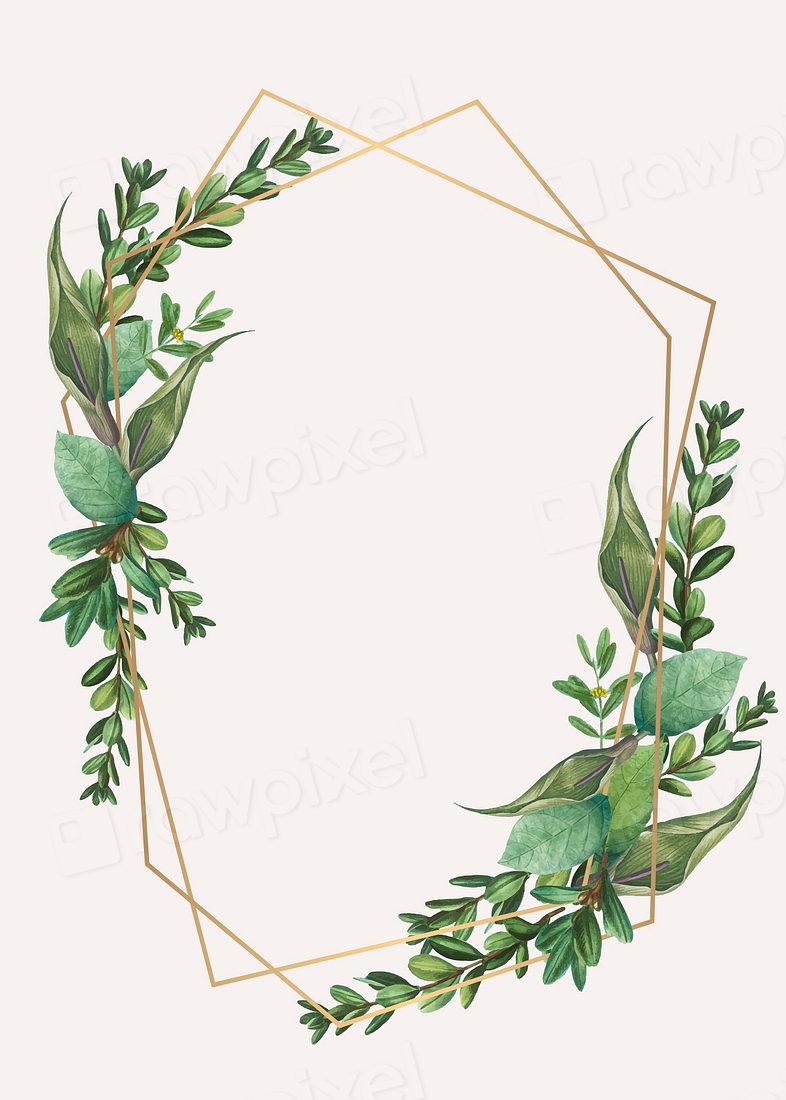 Tropical botanical frame design vector | Premium Vector - rawpixel