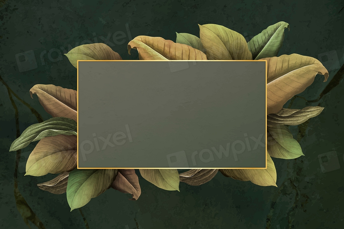 Green leafy rectangle gold frame | Premium Vector - rawpixel
