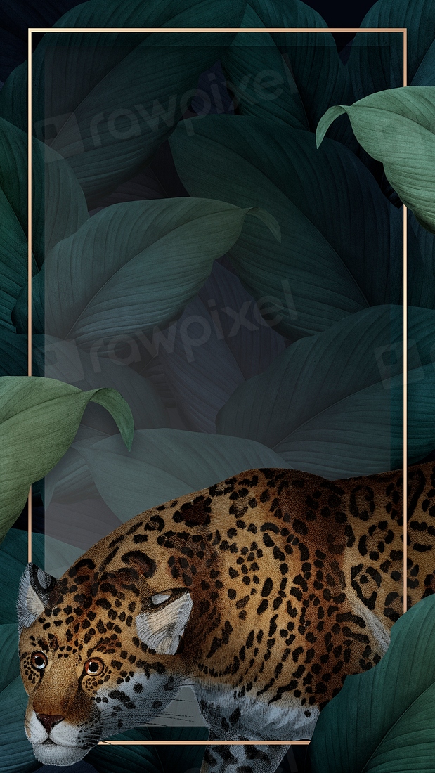 Cheetah golden frame illustration | Premium PSD - rawpixel