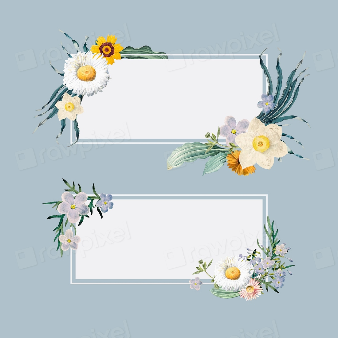 Set floral framed banner vectors | Premium Vector - rawpixel