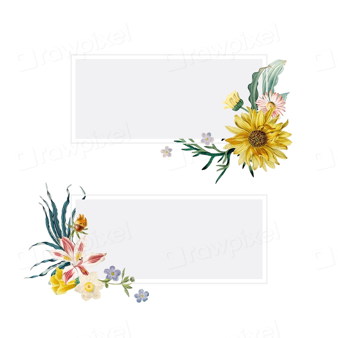 Set floral framed banner vectors | Premium Vector - rawpixel