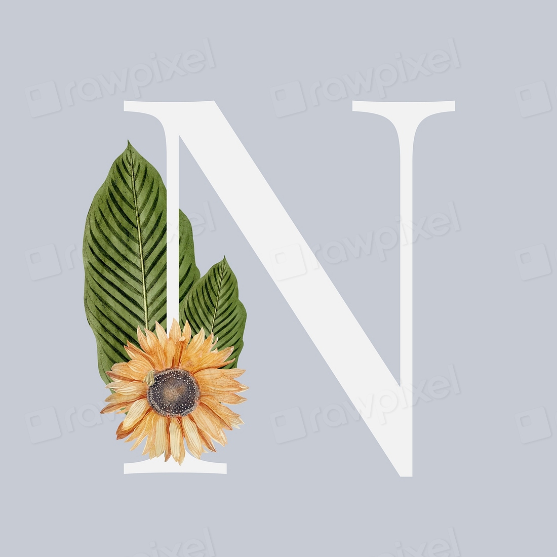 Summer alphabet N psd floral | Premium PSD - rawpixel