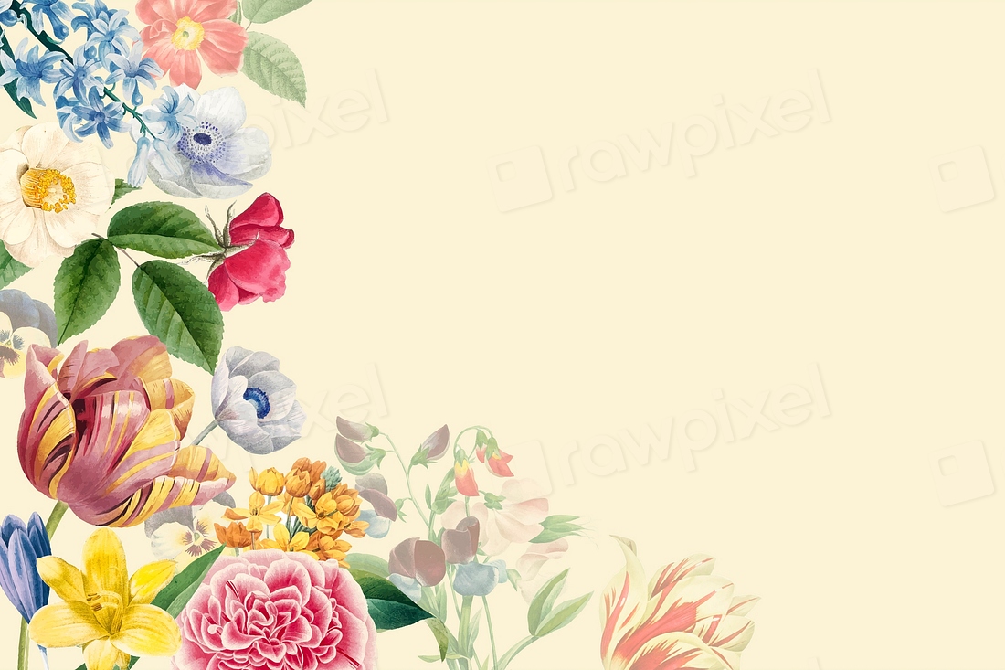 Spring background vector flower border | Premium Vector - rawpixel