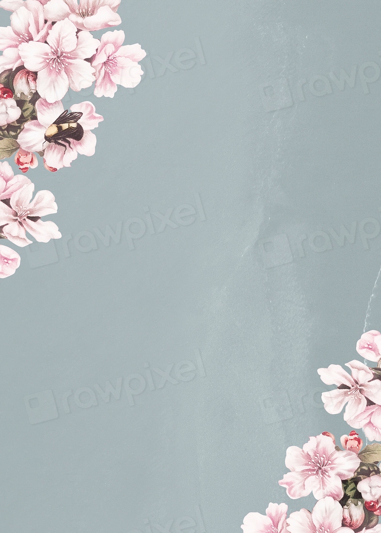 Cherry blossom flower border frame | Premium PSD - rawpixel
