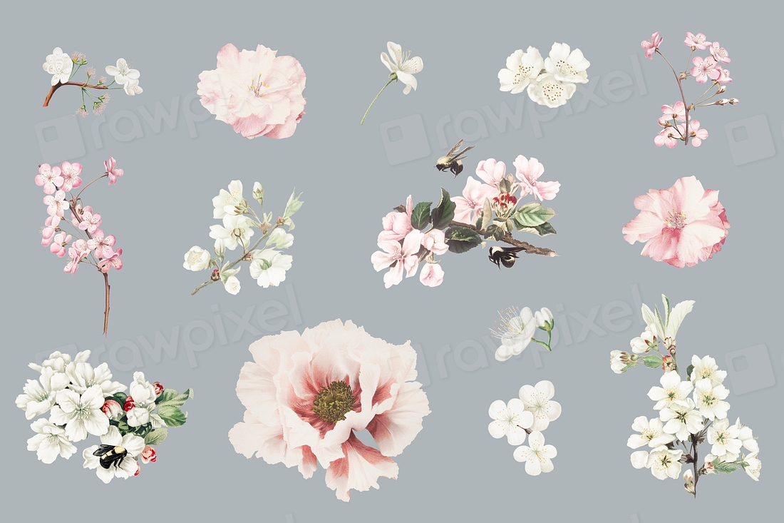 Floral design element collection illustration | Premium PSD - rawpixel