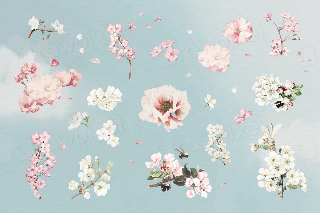 Floral design elements vector collection | Premium Vector - rawpixel