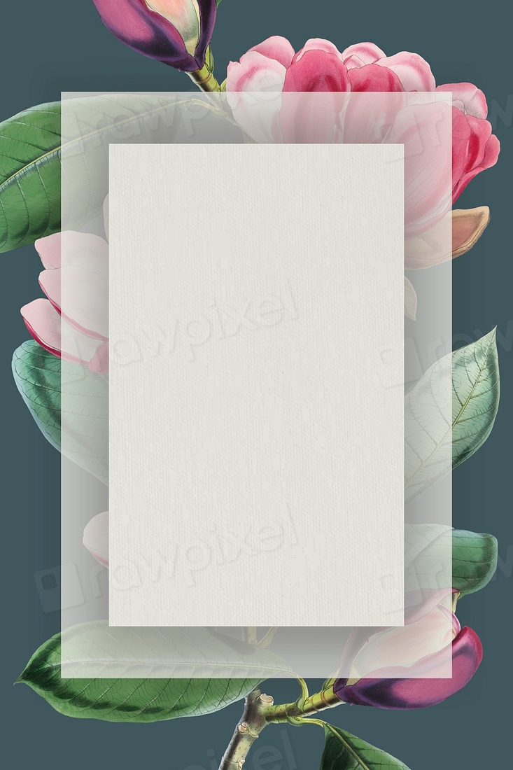 Pink blooming floral frame vector | Premium PSD - rawpixel