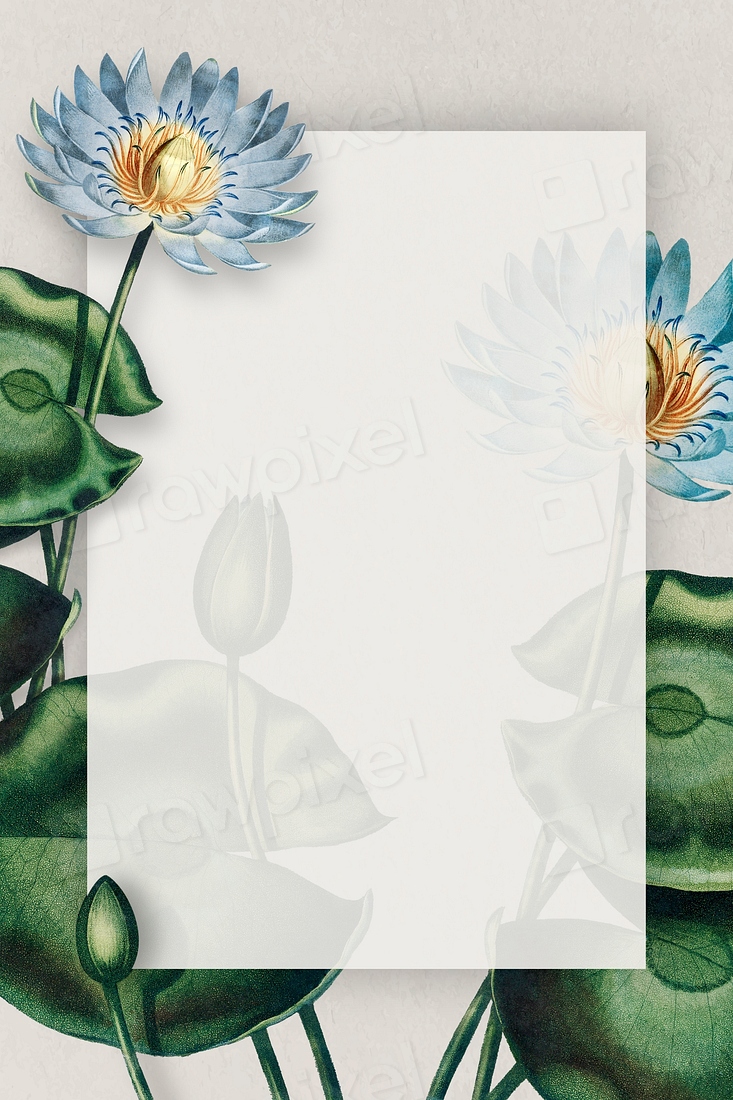 Blank blue water lilies frame | Premium PSD - rawpixel