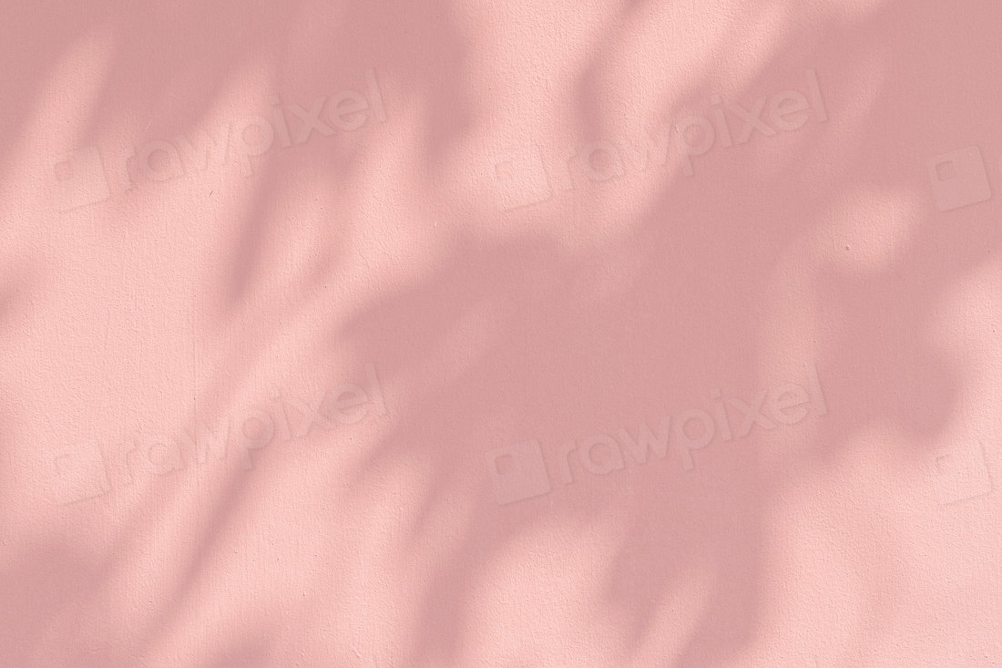 Shadow leaves pink wall | Premium Photo - rawpixel