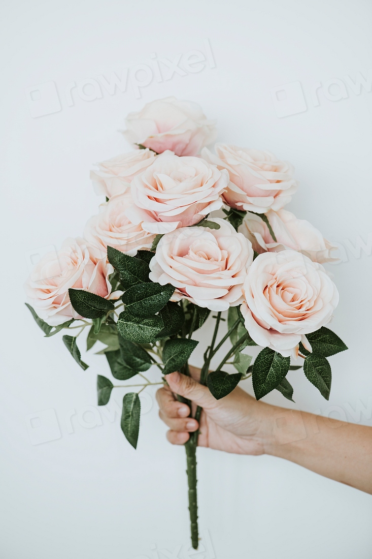 Hand holding bouquet light orange | Premium Photo - rawpixel Hand holding bouquet light orange | Premium Photo - rawpixel