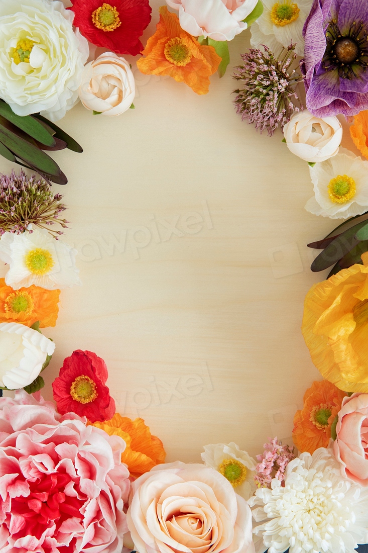 Colorful fresh flowers frame beige | Premium Photo - rawpixel