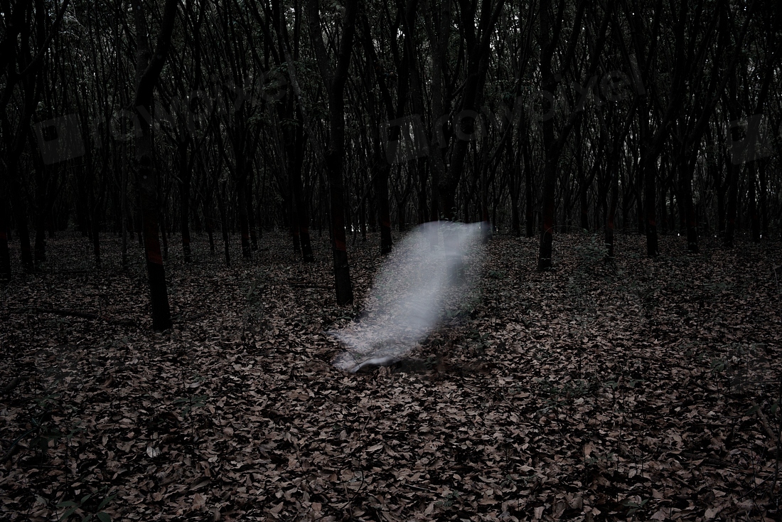 ghost dark forest | Free Photo - rawpixel