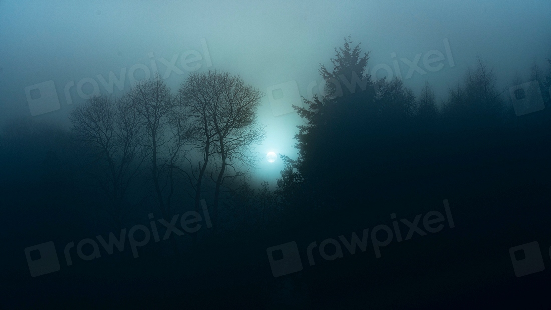 Forest desktop wallpaper, misty night | Free Photo - rawpixel