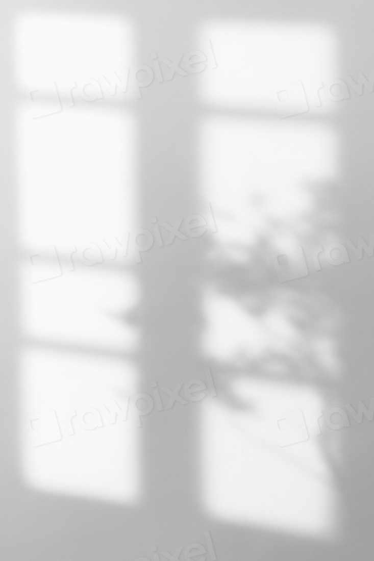 Window and flowers light shadow | Premium Photo - rawpixel