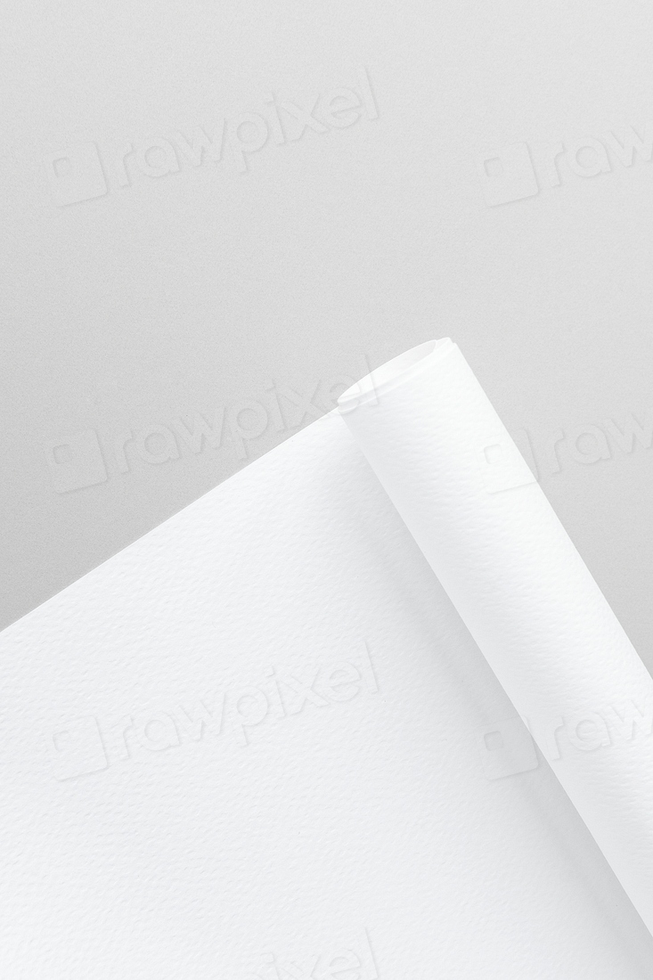Blank white rolled chart paper | Free Photo - rawpixel
