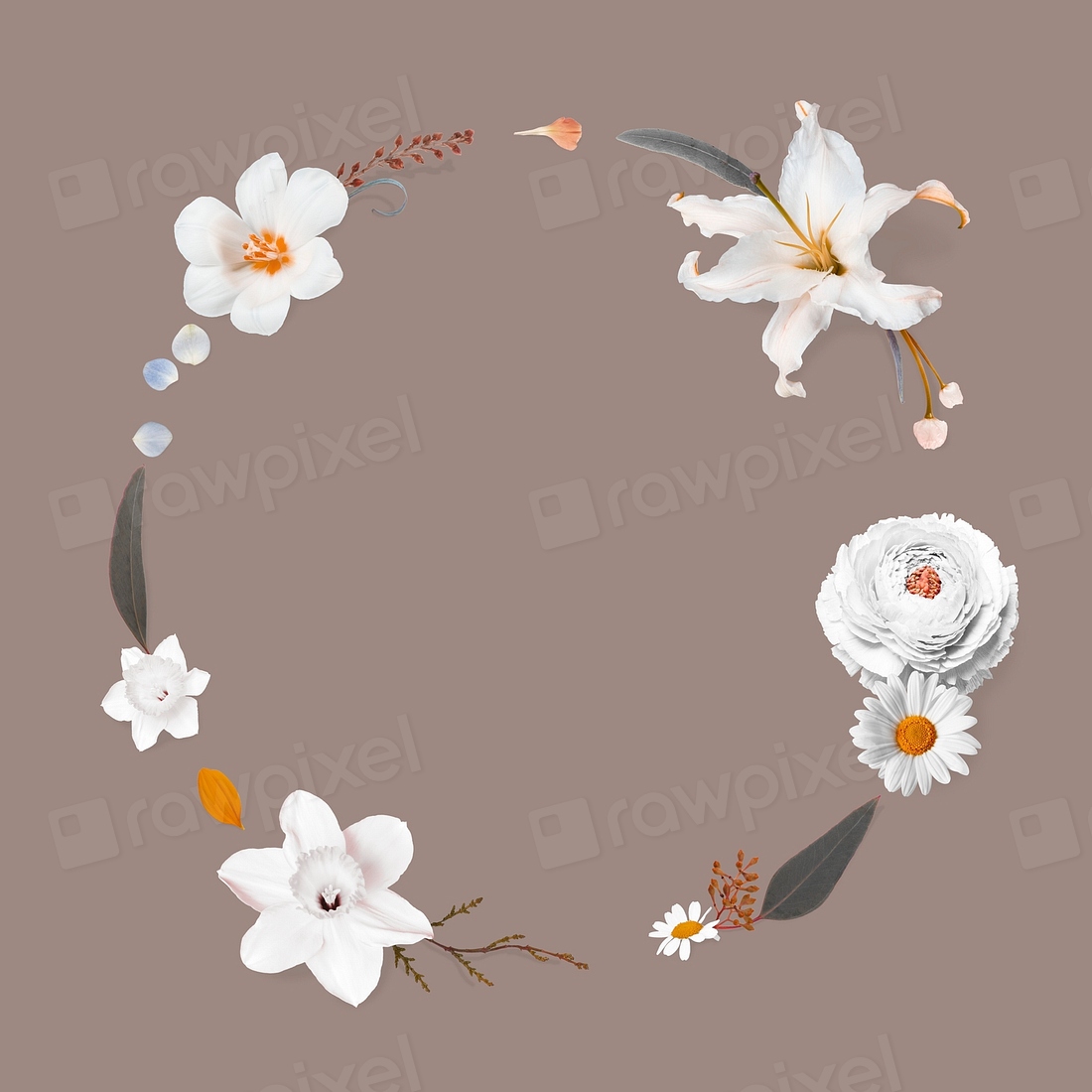 Aesthetic floral frame, botanical psd | Premium PSD - rawpixel