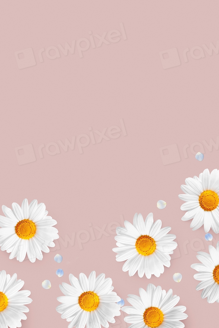 Floral border background, flower, botanical | Free Photo - rawpixel