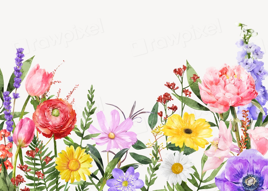 Watercolor flower background, spring border | Premium Vector - rawpixel